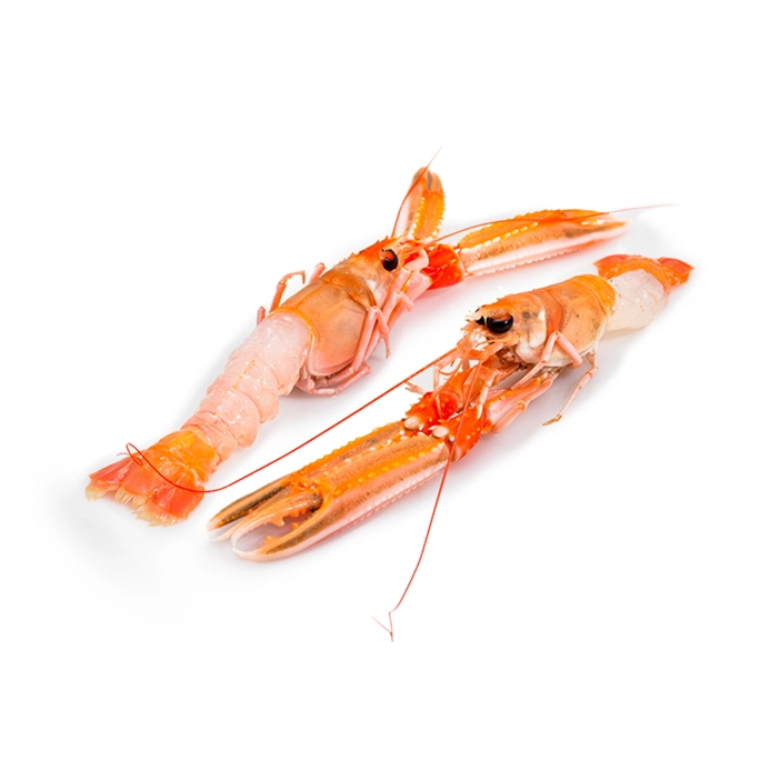 Scampi Irlanda - World Fish Sardinia