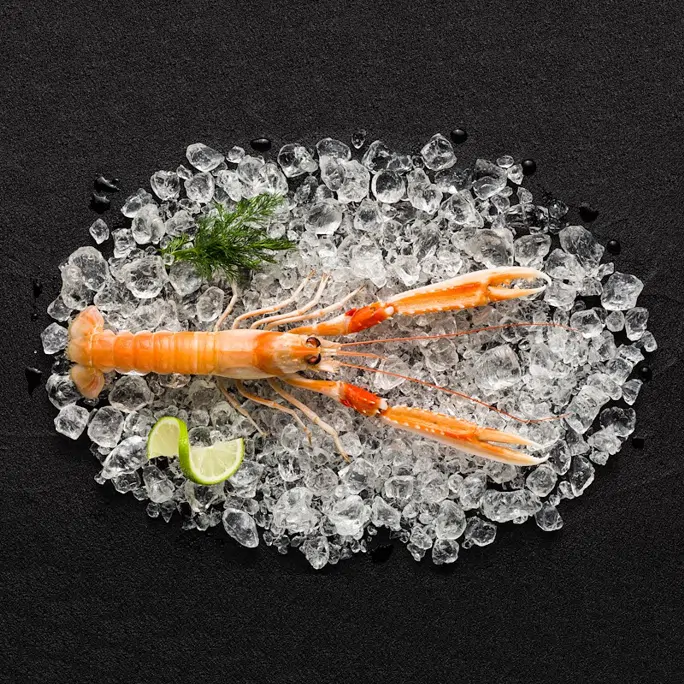 Scampi Irlanda - World Fish Sardinia